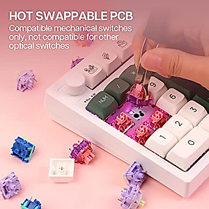 EPOMAKER FEKER JJK21 20 Keys Mechanical Numpad Kit, Gasket Mount Hot Swappable Bluetooth 5.0/2.4GHz/Wired Numeric Keypad with a Rotary Knob, 1500mAh Battery, Compatible with 3/5Pin Switches