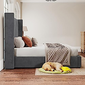 Jocisland Lift up Storage Bed Frame Queen Size, Upholstered Platform Bed Velvet with Channel Tufted Wingback Headboard, No Box Spring Needed, Gray