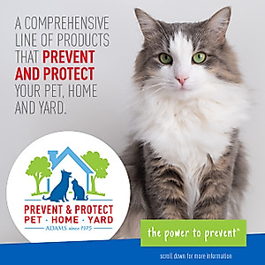 Adams Plus Flea & Tick Collar for Cats | Breakaway Collar | 1 White Collar | 7- Month Protection | Kills & Repels Fleas, Flea Eggs, Flea Larvae and Kills Ticks, Tick Nymphs, and Tick Larvae