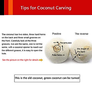 2 Pack Coconut Opener Tool with 4 Reusable Straws and Brush, Easy & Convenient Straw Hole Maker, Food Grade Stainless Steel Coconut Opening Tool Pouch Tap for Young Fresh Thai Hawaii Coco Water Juice