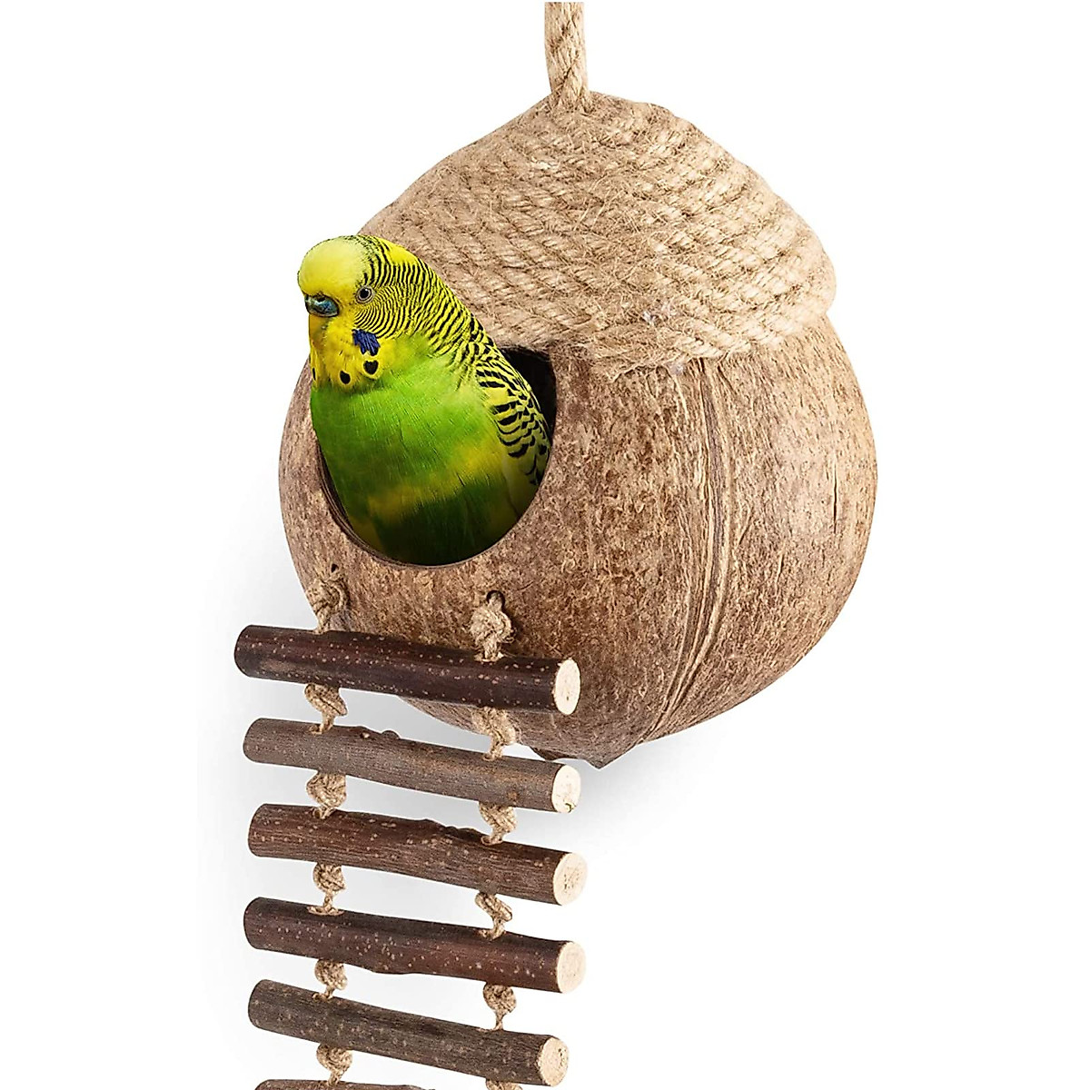 Dlhbafuya Coconut Birdhouse Coconut Shell Climbing nest Hamster hut with Ladder pet Bird Climbing Ladder nest Coconut Shell Bird nest Small Animal Habitat nest.