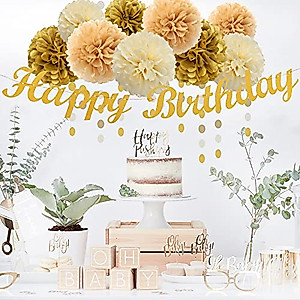 White-Gold Champagne Birthday Party Decorations - 27pcs Tissue Pom Poms Streamers,Christmas Tassel Garland,1st,2nd,10th,13th,18th,25st,30th,40th,50th Neutral Happy Birthday Banner Decor Panduola