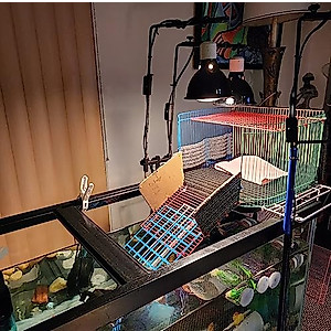 DGBAIZ Reptile Lamp Stand,Pet Lamp Land Bracket,2Hooks Adjustable Metal Floor Light Lamp Holder Lamp Support for Reptile or Succulent Plants Glass Terrarium Heating Light