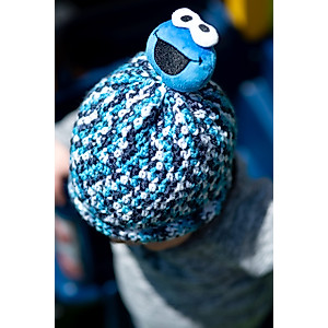 Lion Brand Yarn Sesame Street One Hat Wonder yarn, Size, Cookie Monster