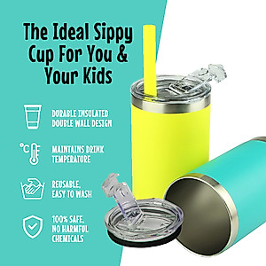 K KICHUZL 2 Pack 12oz Stainless Steel Kids Tumblers with Straws and Lids BPA Free Sippy Cups for Toddlers Spill Proof Kids Smoothie Cups