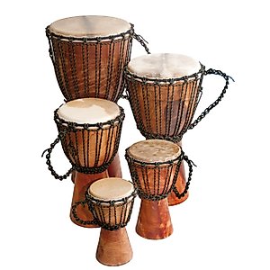 Djembe Beginner Plain, 16" tall, 7.5-8.5" head