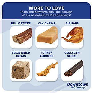 Downtown Pet Supply 12-inch Bully Sticks for Dogs, 1 LB - USA Sourced, No Hide Dog Chews Long Lasting and Non-Splintering - Nutrient-Rich, Single Ingredient and Odor Free Bully Sticks for Dogs