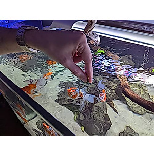 Cobalt Aquatics Shrimp Pellet, 20 oz, White/Black