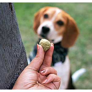 Whole Beast - Organ Blend Dog Treats - Skin & Coat, Digestion, Cognitive Function, and Energy - Beef, Liver, Heart, Kidney, Bone Broth and Blood - Whole Prey - 6oz