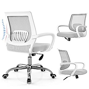 PPW Office Chair,Ergonomic Dual Backrests,Desk Chair Back Support, Best Office Chair for Posture, Mesh Office Chair,(Cushion is Light Gray)