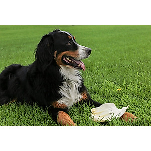 EcoKind Pet Treats Jumbo (6-8 inches Each) Cow Ear Dog Treats - 100% All-Natural Beef Dog Chews - Promotes Dental Health - Durable & Long-Lasting, Free Range Grass Fed Cattle (6 Ears)