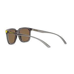 Arnette Men's AN4306 Plaka Square Sunglasses, Transparent Grey/Mirrored Yellow Gold, 54 mm