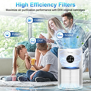 Air Purifier Filter for Tailulu D10 Air Purifier, 3-in-1 H13 Grade True HEPA Replacement Filte, D10 Replacement Filter 1 Pack