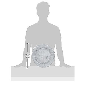 ChargeIt by Jay Reef Charger Plate, Silver, Diameter: 13.5 Inch (1470111)