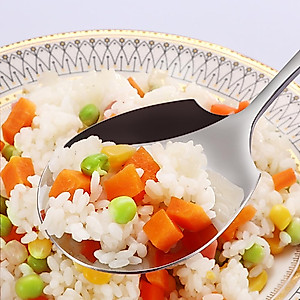 Txhlyx Serving Spoons,SUS 304 Stainless Steel Serving Spoons,Dishwasher Safe 8.5 x 2.5 inches (Set of 2)