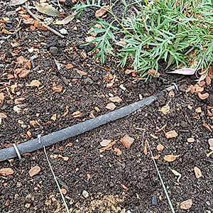 ECOgardener Extra Heavy Duty Galvanized Weed Barrier Landscape Fabric Staples