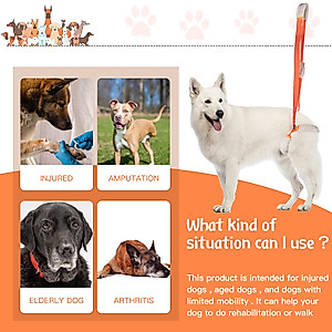 Mixweer 2 Pcs Dog Support Harness for Back Legs Dog Rear Lifting Sling Aid with Handle and Shoulder Strap Hind Leg Support for Pet Mobility Helps Dogs with Poor Stability Joint Injuries (Orange)