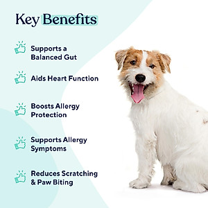 Pawfy Probiotics for Dogs | Dog Diarrhea Medication | Small and Large Dog Probiotics for Digestive Health | Improves Gut Health | Anti Yeast Supplements | Allergy and Itch Relief - 30 Tasty Chews