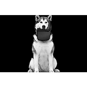 Husky Liners — Front & Rear Mud Guards | Fits 2021-2024 Ford F-150 (Excludes Raptor Models), Front and Rear - Black, 4 Pc. | 58526 - Black, 4 Pc | 58526