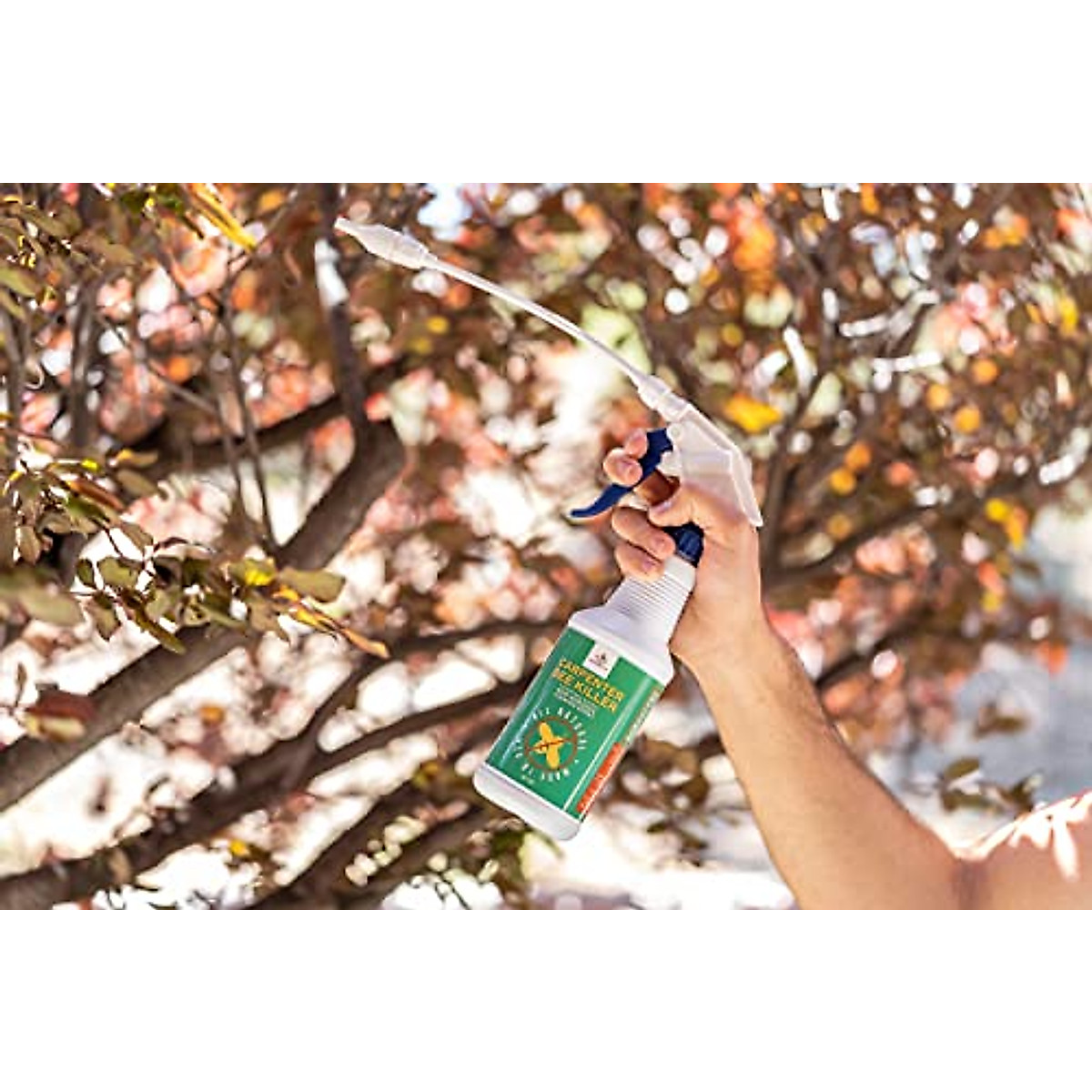 Donaldson Farms Carpenter Bee Killer Spray for Insects All Natural ...
