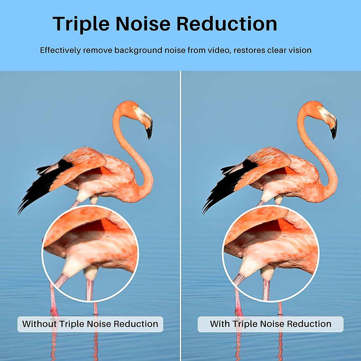 TuTu 22-inch TV,60Hz 1080P FHD LED Television and Monitor with Dolby Audio for Home or Office 22in Flat-Screen TV with HDMI,USB,VGA,RCA(2023 Model)