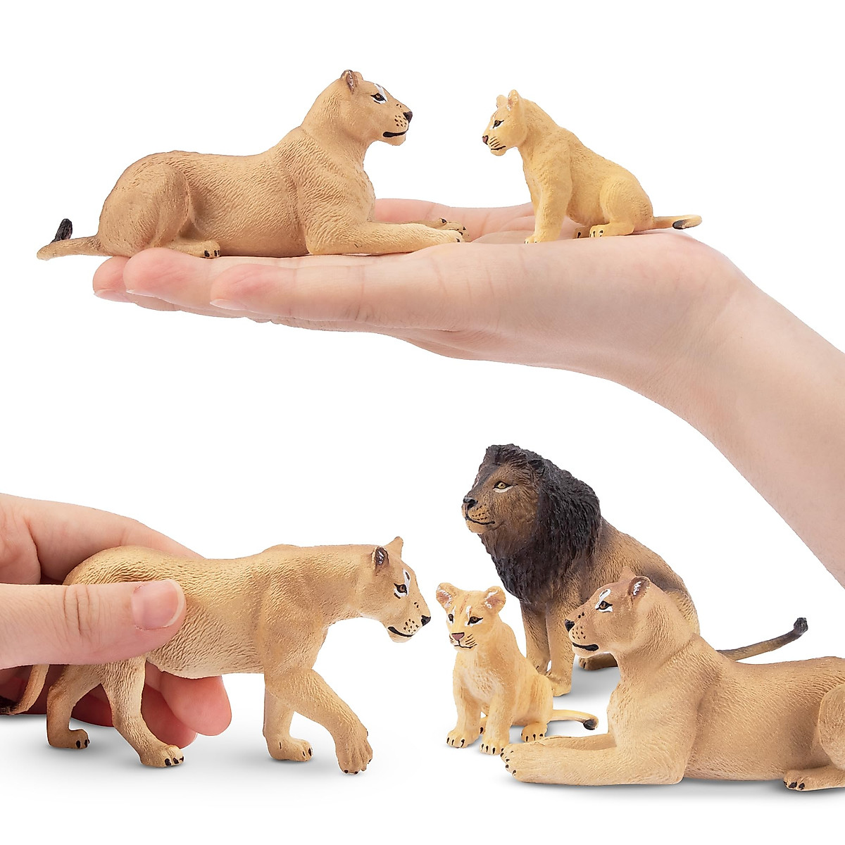 Toymany 6PCS Realistic Lion Figurines with Lion Cubs, 2-5" Jungle Animals Figures Family Set Includes Baby Lions, Educational Toy Cake Toppers Christmas Birthday Gift for Kids Toddlers