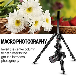 MACTREM 80" Camera Tripod, DSLR Tripod Heavy Duty for Travel, 360 ° Ball Head Professional Aluminum Tripod & Monopod with Carry Bag Compatible with Canon Nikon Sony Camcorder Phone, 33lb Load