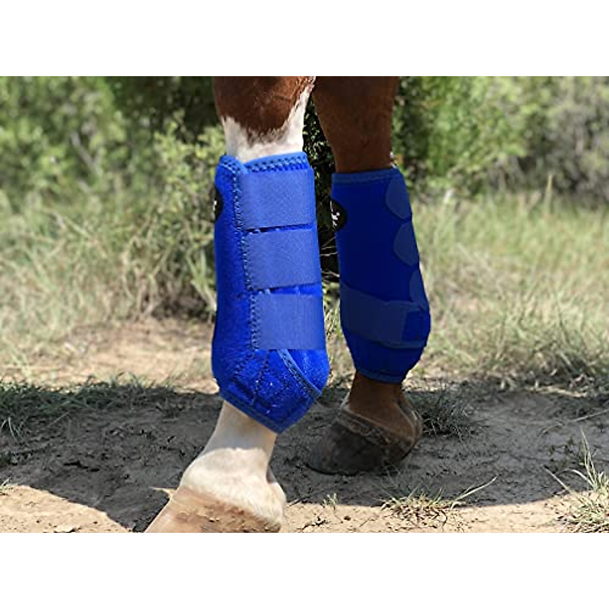 TGW RIDING Equine Sports Medicine Ventech Elite Front Leg Boot, Pair (Royal Blue, M)