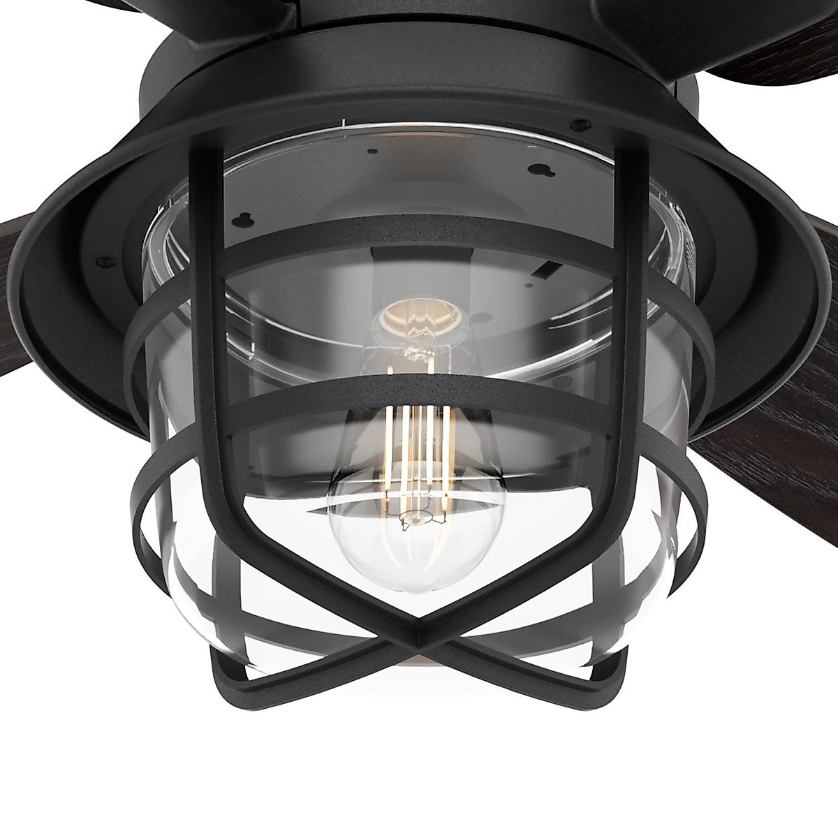 Hunter Fan Company 50391 Hunter Port Royale Ceiling Fan with LED Light and Remote Control, Natural Iron Finish, 52
