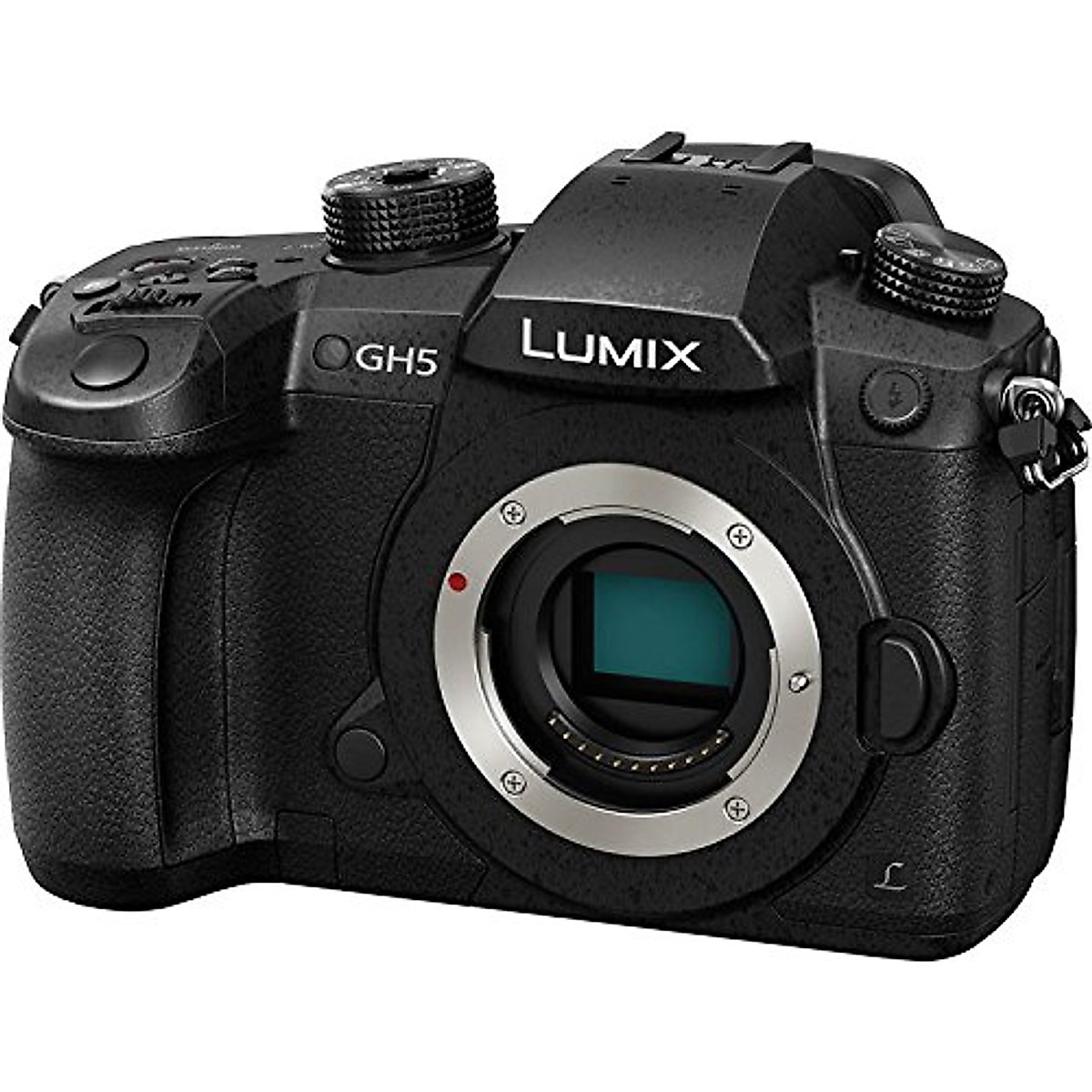 Panasonic Lumix DC-GH5 Mirrorless Micro Four Thirds Digital Camera + Atomos Ninja V 5" 4K HDMI Recording Monitor 14PC Bundle – Includes 64GB SD Memory Card + MORE - International Version (No Warranty)