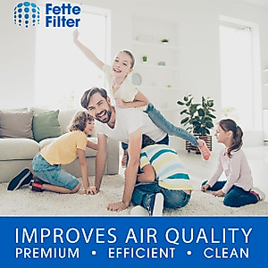 2 Pack of Premium H13 True Hepa Filter Compatible with Pure Enrichment PureZone Halo Air Purifier Model PEAIRDSK Compatible with Sharper Image Personal Air Purifier Item # 207073 207009