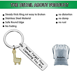 Baipilu Llama Keychain Llama Gift Never Forget How Llamazing You are Keychain for Women Alpaca Gifts Animal Lover Gift Inspiring Inspired Motivational Keychains for Women,birthday gift for friends