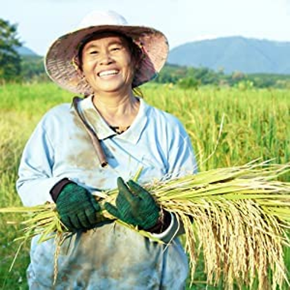 CraftCurl Bamboo Rice Steamer serving Basket kratip Container Handmade Kitchen Decor Design with stand- Handwoven use for steam Sticky Rice in Thai Thailand Laos (Medium 6 inches)