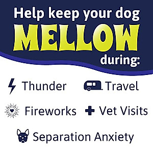 Mellow Shirt Dog Anxiety Calming Wrap, X-Small, Radiant Orchid