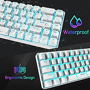 60% Mechanical Gaming Keyboard and Mouse Combo with Mini Ergonomic Anti-ghosting 68Key Multi Backlight 6400DPI Green Honeycomb Mice Type-C Wired for PC Mac Gamer Office Typist(White Blue/Blue Switch)