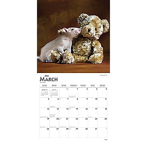 Rats | 2023 12 x 24 Inch Monthly Square Wall Calendar | BrownTrout | Domestic Animals Mouse