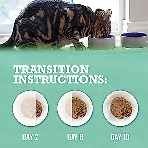 Purina Beyond Grain Free, Natural Pate Wet Cat Food, Grain Free Ocean Whitefish & Spinach Recipe - (12) 3 oz. Cans