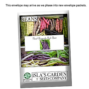 Royal Burgundy Bush Bean Seeds for Planting, 30 Heirloom Seeds Per Packet, (Isla's Garden Seeds), Non GMO Seeds, Botanical Name: Phaseolus vulgaris, Great Home Garden Gift