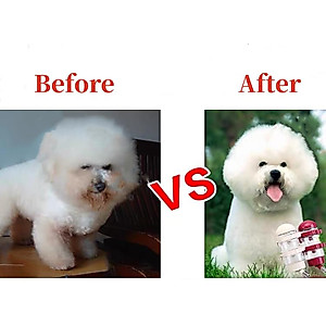 Stcyutdaaa Pet Standing Water Dispenser Bowl-,Dog Water Bottle,Leak Proof Portable Puppy Drinker for Dogs/Cats/Rabbits/Kittens and Other Large/Medium Animals - for Cage, Crate or Wall Mount 24 o(Set)