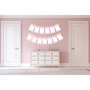 Pink Bow Photo Banner,First Birthday Decorations for Girl,Newborn to 12 Months Photo Banner,1st Birthday Milestone,First Year Photos,Baby Shower