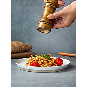 famiware Saturn 6 Pieces Dinner Plates, 10.5 inch Plate Set, Scratch Resistant, Stoneware Dinnerware, Kitchen Modern Rustic Serving Dishes, White