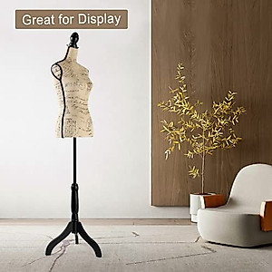 Encomle Dress Form Female Mannequin Torso, Height Adjustable Mannequin Body with Stand for Sewing, Display, Brown