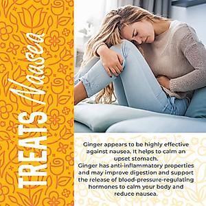 Dried Crystallized Ginger Chunks, 16 oz. Unsulphured Dried Ginger Candy, Candied Ginger Chunks, Caramelized Ginger Chews Candy, Unsulphured Crystalized Ginger Pieces. All Natural, Non-GMO, 1 Pound.