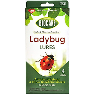 BioCare Ladybug Lures, Nontoxic and Pesticide-Free, Made in USA, 4 Count, Brown - S702