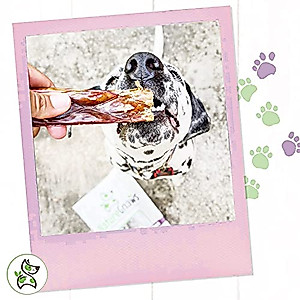 Nature Gnaws Beef Jerky Chews for Large Dogs - Premium Natural Beef Gullet Sticks - Simple Single Ingredient Tasty Dog Chew Treats - Rawhide Free - 9-10 Inch