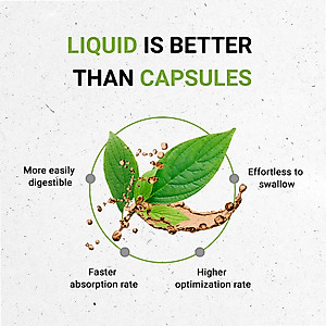 UTI Secret Alcohol-Free Extract, High-Potency Herbal Drops, Tincture Made from Cranberry, Bromelain, Pineapple, Uva Ursi, Oregon Grape, Corn Silk, Horsetail. Urinary Tract Formula 2 oz