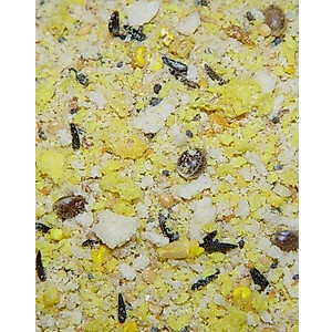 Snack Attack Treats Proteen Egg Food, 20 lb