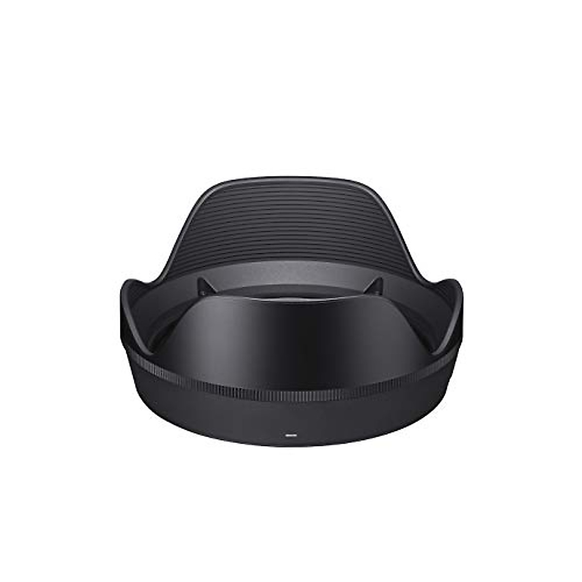 Sigma 24-70mm F2.8 DG DN Art for L Mount