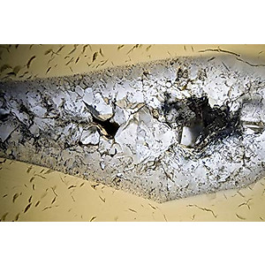 Swift S41-20 Professional Dissecting Binocular Stereo Microscope, WF10x WF20x Eyepieces, 10X 20X Magnification, 1X Objective, LED Lighting, Boom-Arm Stand