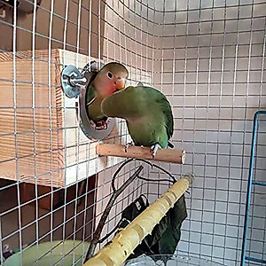 kathson Parrot Nest Breeding Box, Wood Bird Nest for Cage, Parakeet Nesting Box with Perches Pet House Natural Coconut Fiber Bird Toys for Parakeet Cockatoo Budgie Cockatiel Lovebirds (Large)